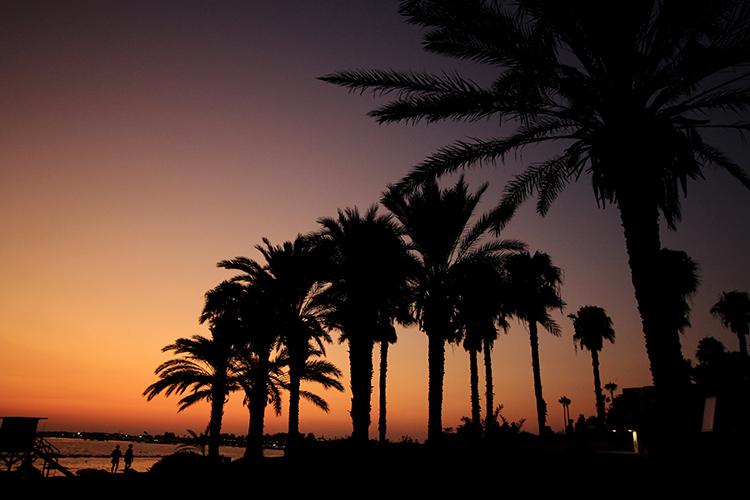 Tony Ryan # UK # Walking in the Sunset - Blank Wall Gallery